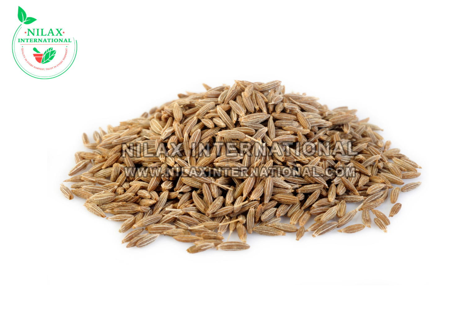 Cumin Seeds - Nilax International