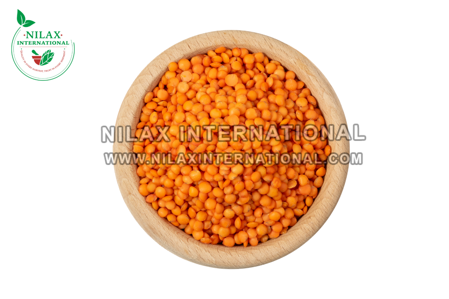 Red Split Lentils - Nilax International